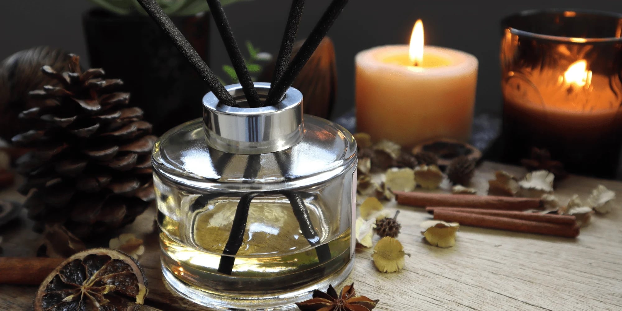 Reed Diffusers – Dorset Wax & Wicks